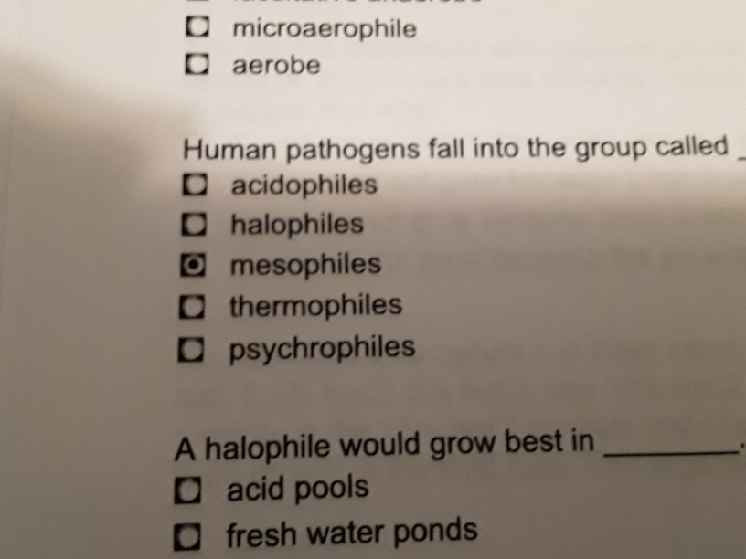 Solved microaerophile aerobe Human pathogens fall into the | Chegg.com