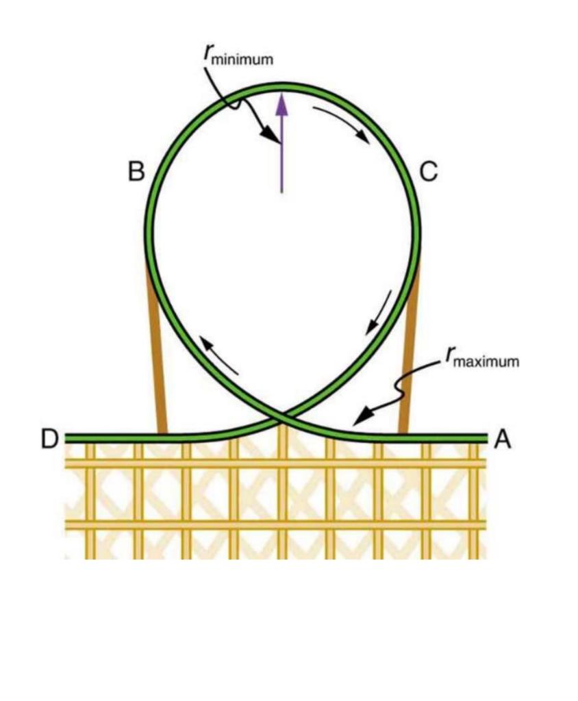 Solved ) Modern roller coasters have vertical loops like | Chegg.com