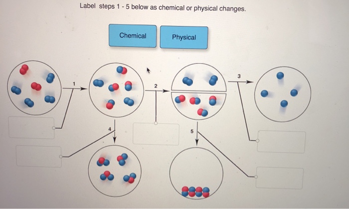 Solved Label steps 1-5 below as chemical or physical | Chegg.com