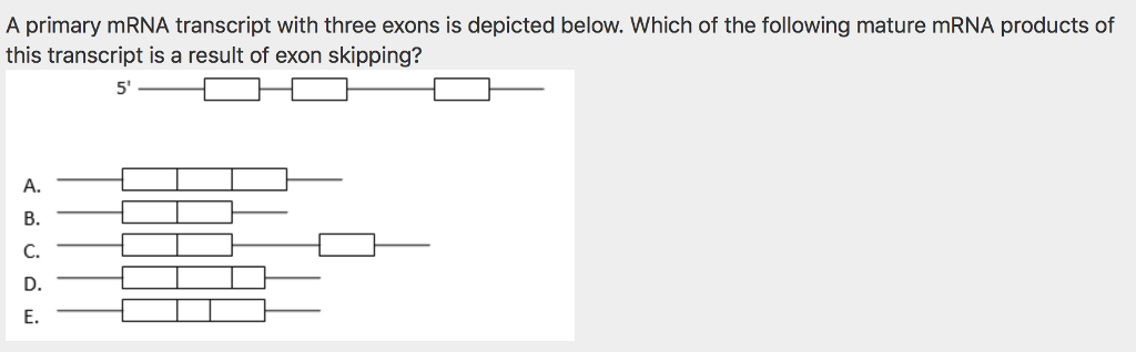Solved A primary mRNA transcript with three exons is | Chegg.com