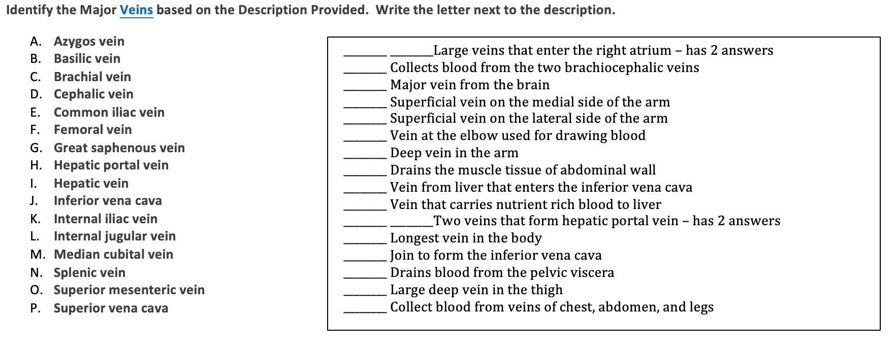 Solved Identify the Major Veins based on the Description | Chegg.com