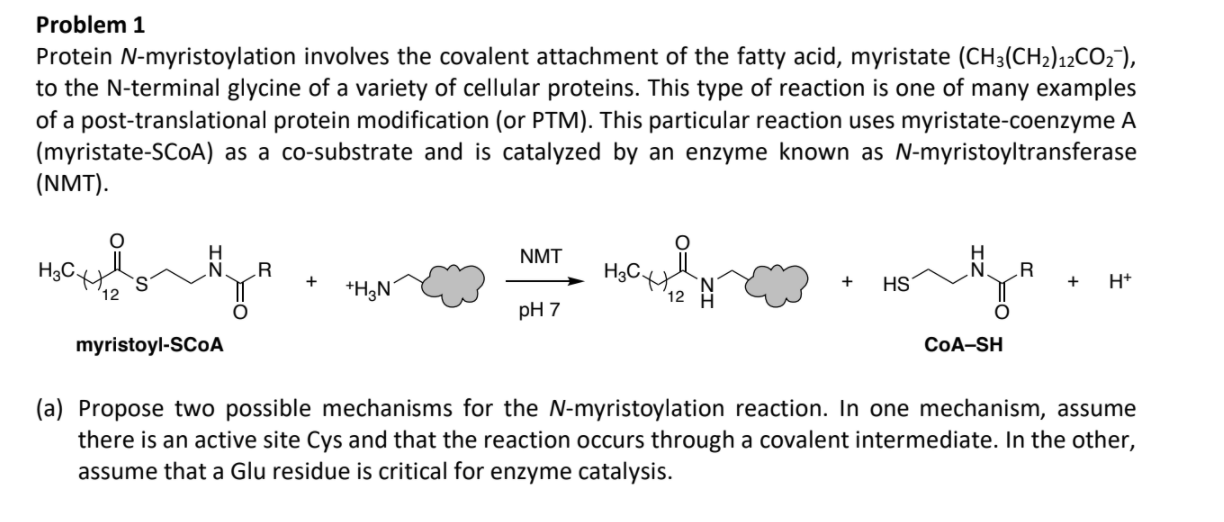 Problem 1 Protein N-myristoylation involves the | Chegg.com
