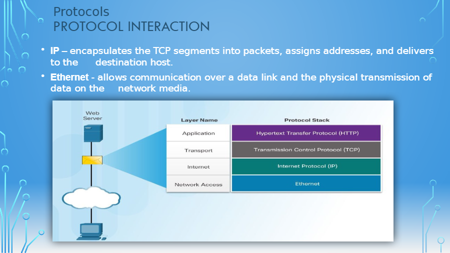 Solved ProtocolsPROTOCOL INTERACTIONIP - ﻿encapsulates the | Chegg.com