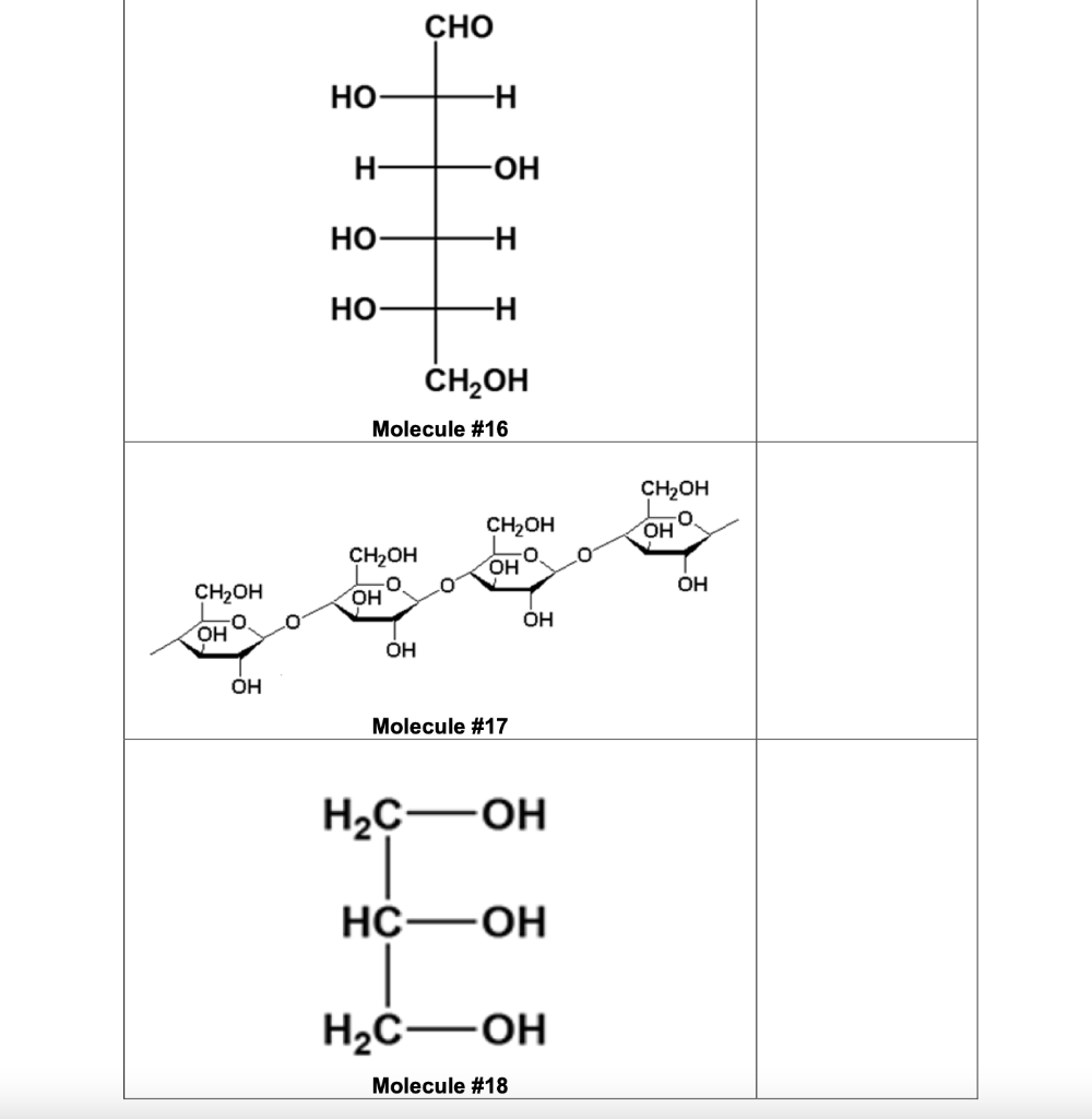 Solved BIOCHEMICAL MOLECULES - STRUCTURE AND FUNCTION ENTER | Chegg.com