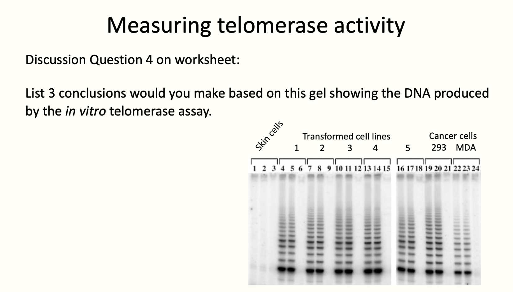 Solved Measuring telomerase activity Figure legend: Proteins | Chegg.com