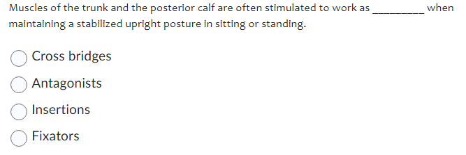 Solved Muscles of the trunk and the posterior calf are often | Chegg.com
