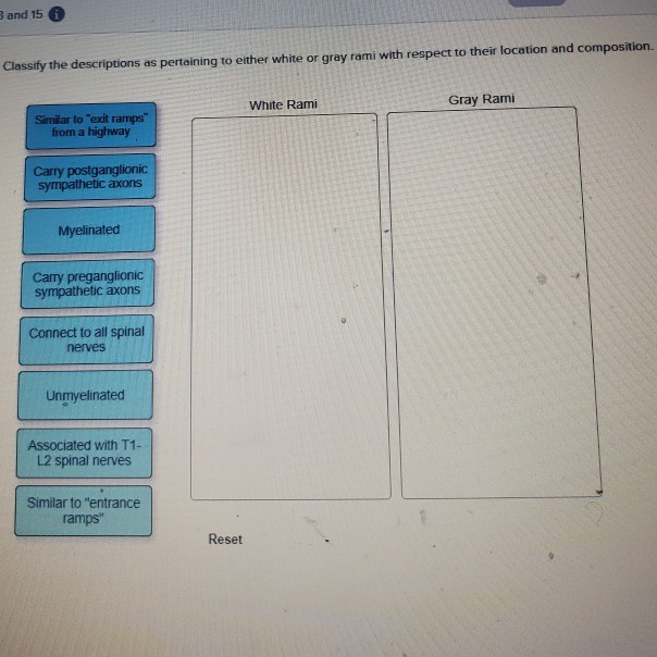 Solved and 150 Classify the descriptions as pertaining to | Chegg.com