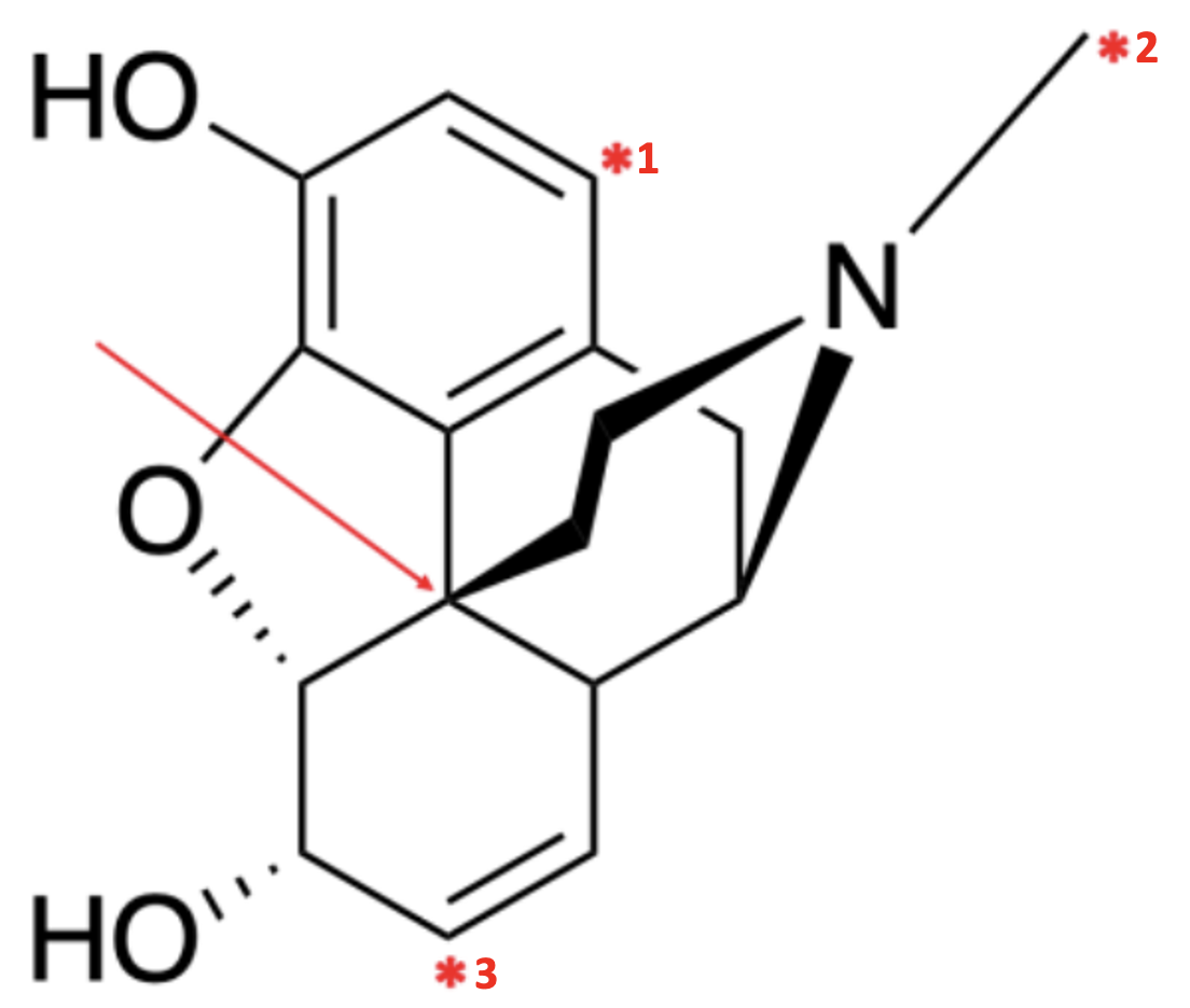 Solved On a separate sheet of paper, or digital document, | Chegg.com