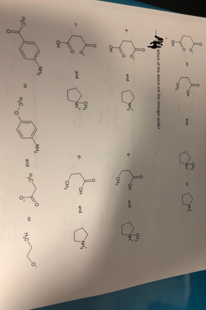 Solved CHE NH OH or NH and or or CH3 OH Which of the above | Chegg.com
