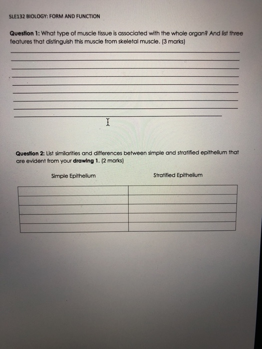 Solved SLE132 BIOLOGY: FORM AND FUNCTION Question 1: What | Chegg.com