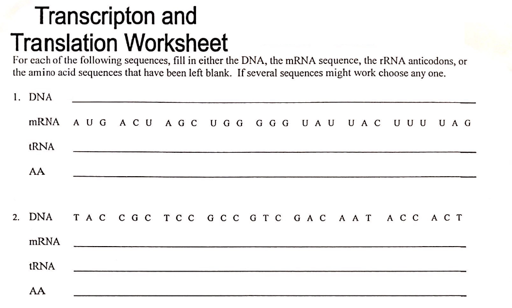 Solved Transcripton and Translation Worksheet For each of | Chegg.com