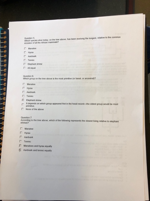 Solved Here is an assignment regarding phylogenetic trees. | Chegg.com