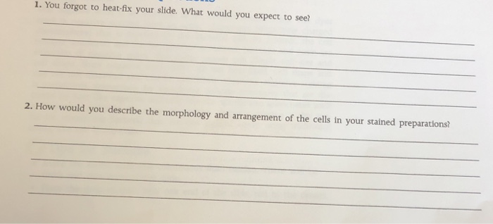 Solved 1. You forgot to heat-fix your slide. What would you | Chegg.com