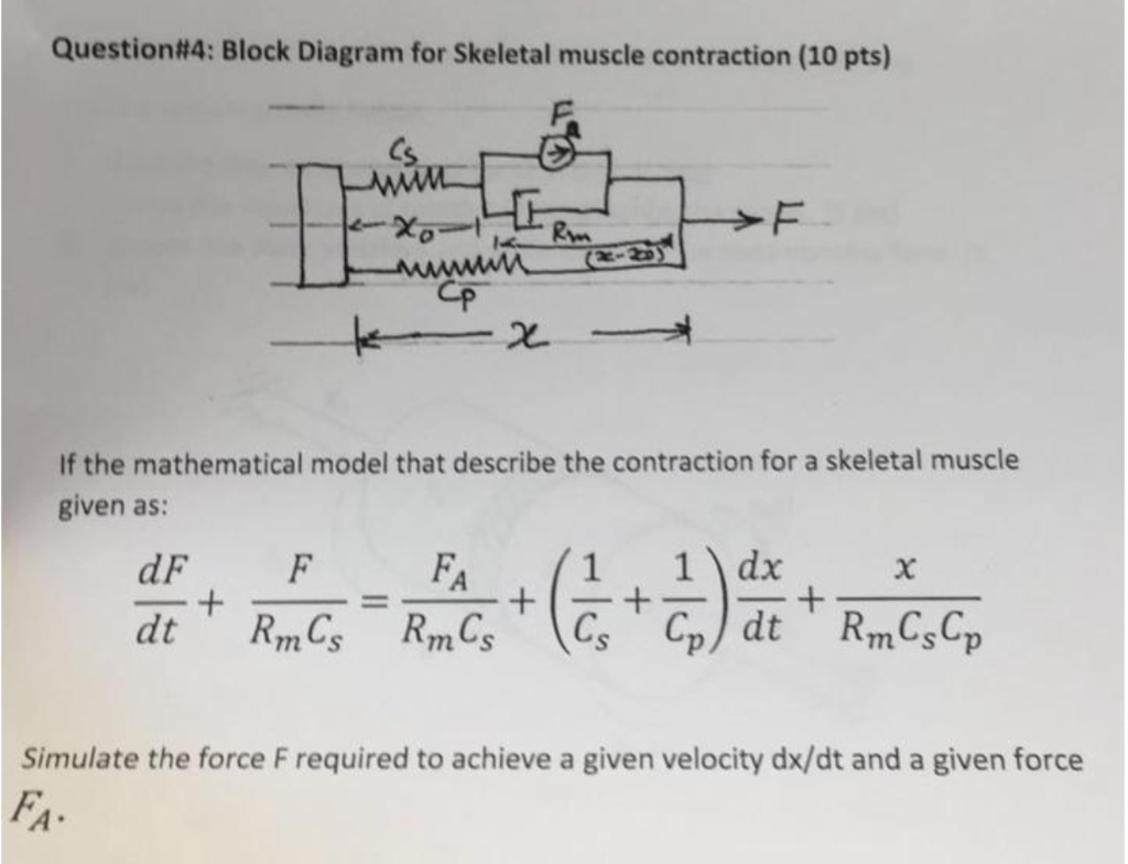 Question#4: Block Diagram for Skeletal muscle | Chegg.com