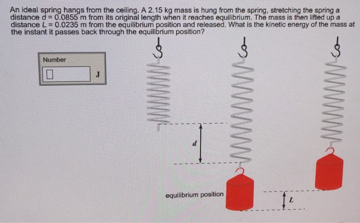 Solved An ideal spring hangs from the ceiling. A 2.15 kg | Chegg.com