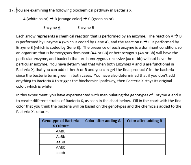 Solved A (white color) → B (orange color) →C (green color) | Chegg.com