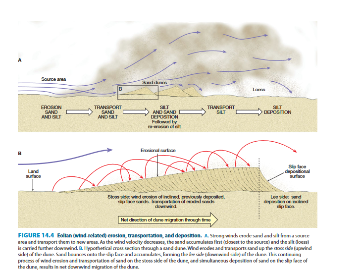 Solved FIGURE 14.4 Eolian (wind-related) erosion, | Chegg.com