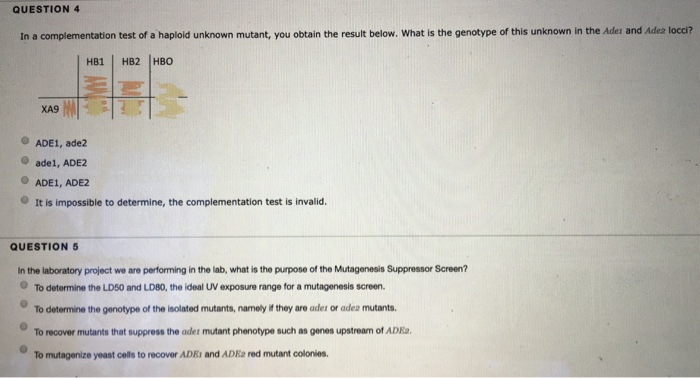 Solved QUESTION 4 In a complementation test of a haploid | Chegg.com