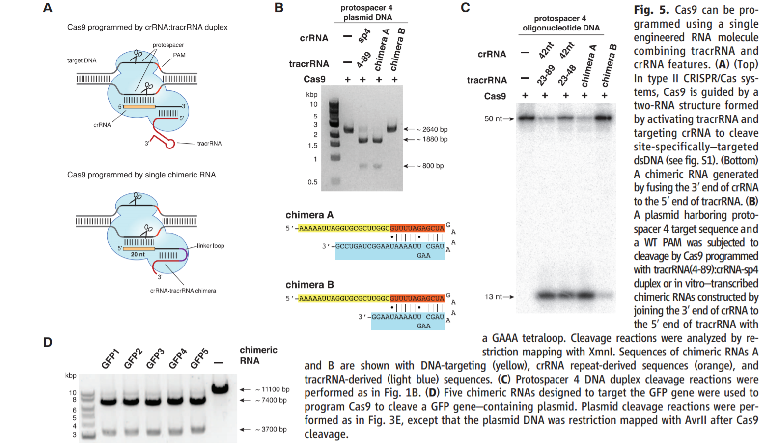 Solved I need help trying to understand this figure from | Chegg.com