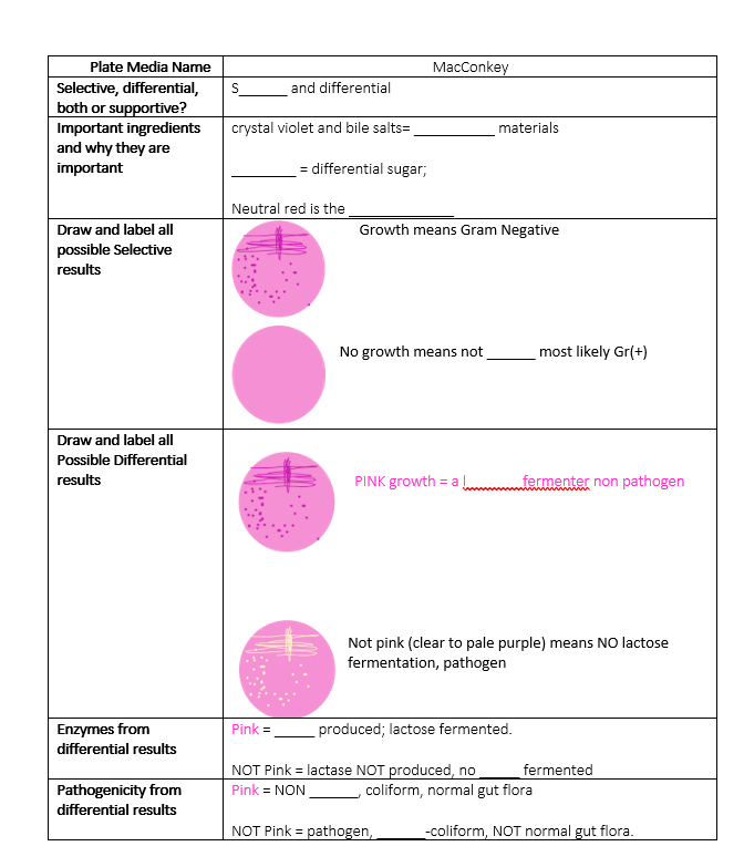 Solved \begin{tabular}{|c|c|} \hline Plate Media Name & | Chegg.com