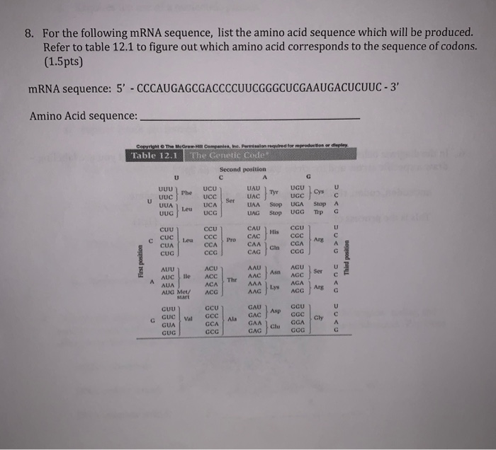 Solved For the following mRNA sequence, list the amino acid | Chegg.com