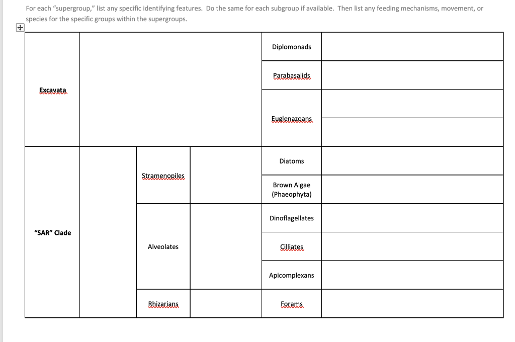 Solved For each protist “supergroup,” list any specific | Chegg.com