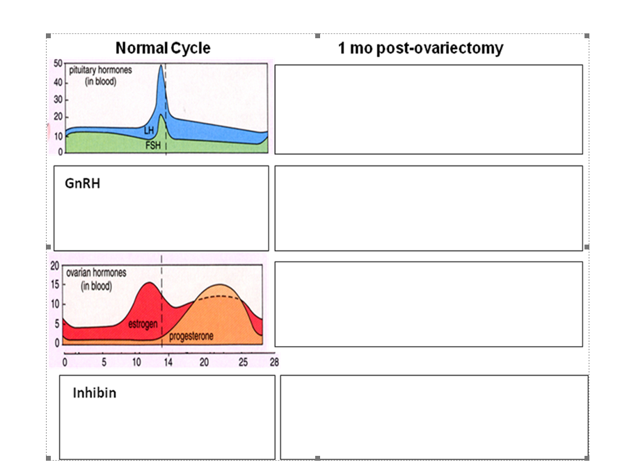 Solved In the human menstrual cycle, the following hormones | Chegg.com