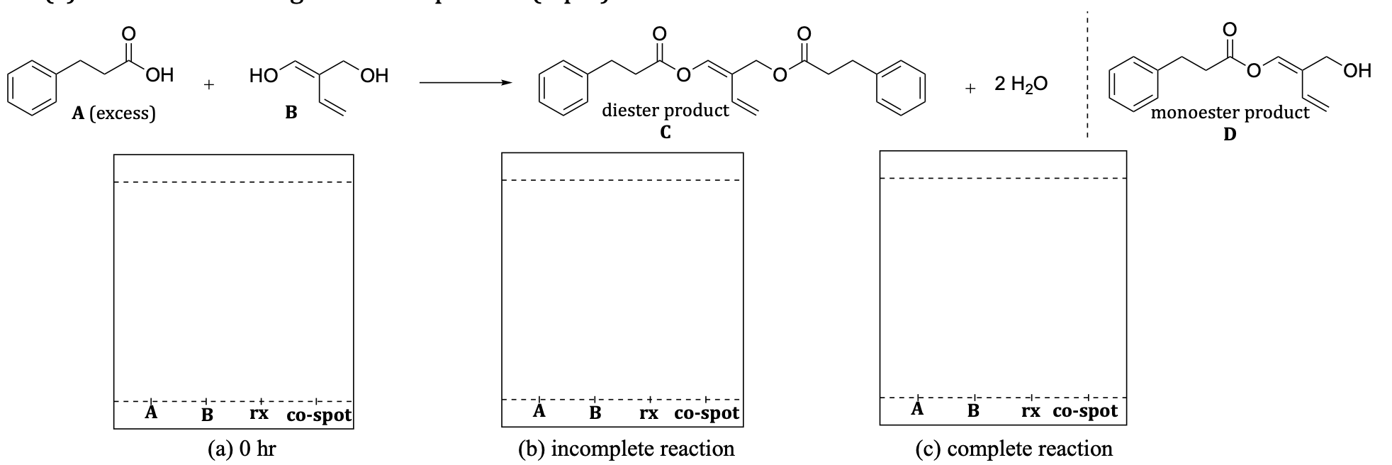 Solved In the formation of the diester, the monoester | Chegg.com