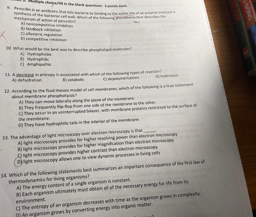 Solved Multiple choice/fill in the blank questions: 2 points | Chegg.com
