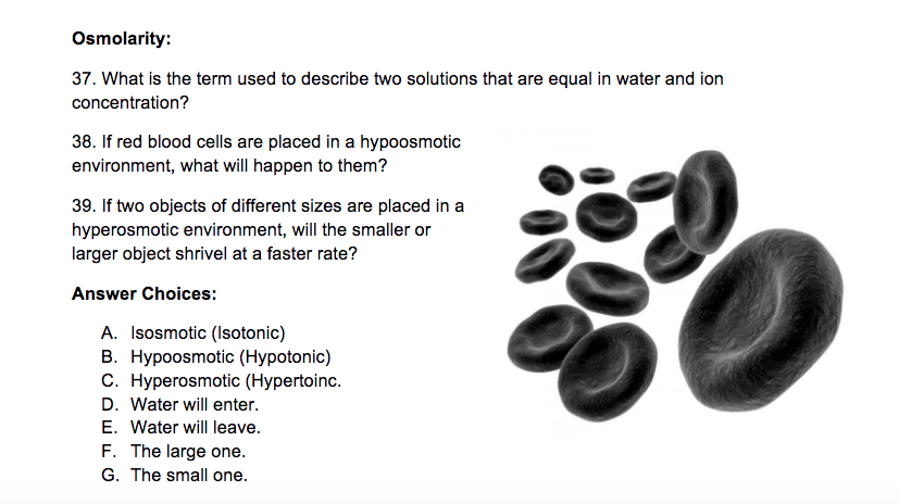 Solved Osmolarity: 37. What is the term used to describe two | Chegg.com