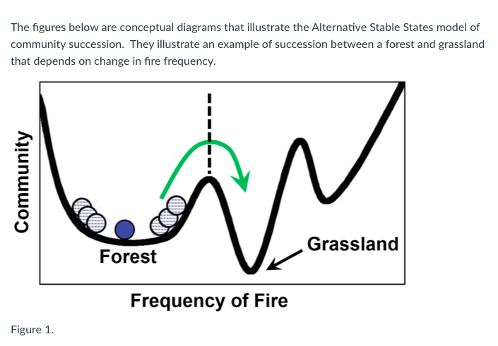 The figures below are conceptual diagrams that | Chegg.com
