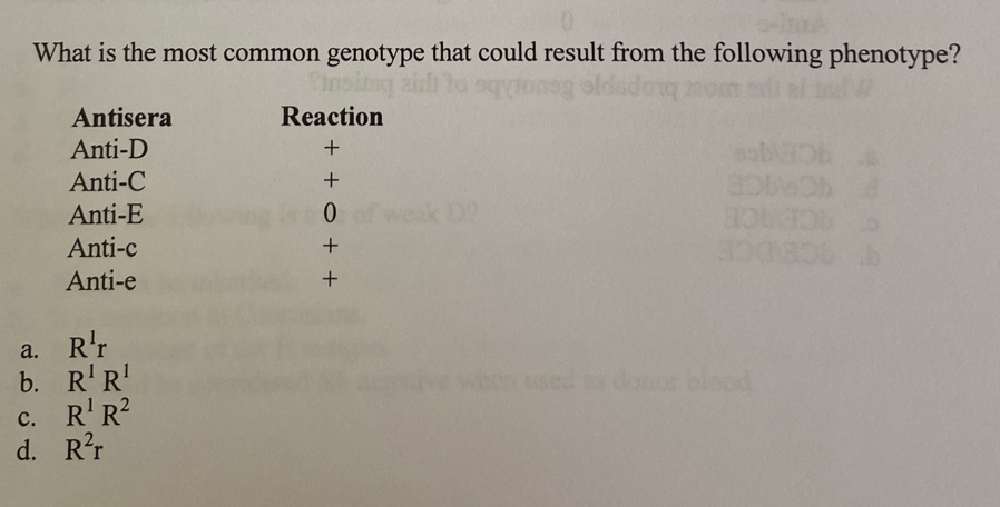 Solved What is the most common genotype that could result | Chegg.com
