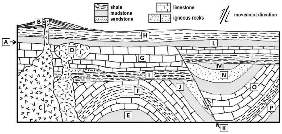 Solved Please reconstruct the sequence of feature formation | Chegg.com