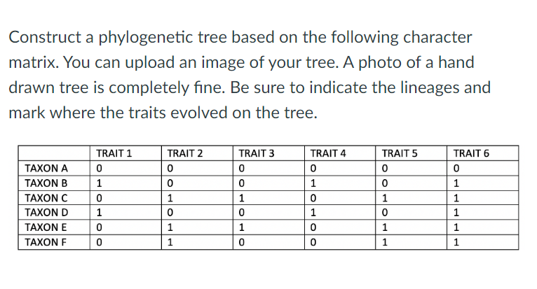 Solved Construct a phylogenetic tree based on the following | Chegg.com