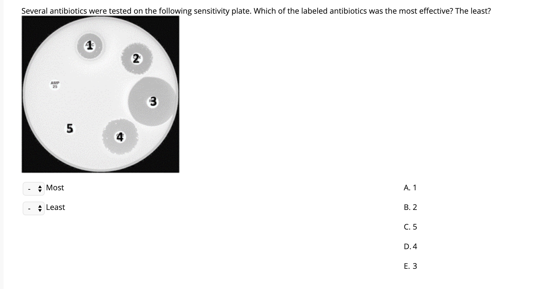 Solved Several antibiotics were tested on the following | Chegg.com
