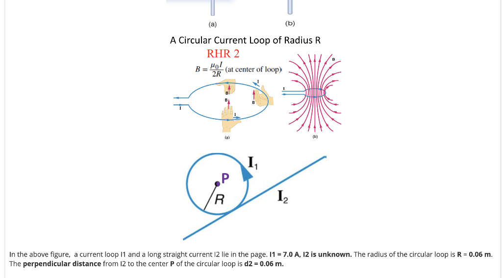 Solved (a) (b) A Circular Current Loop of Radius R RHR 2 B= | Chegg.com