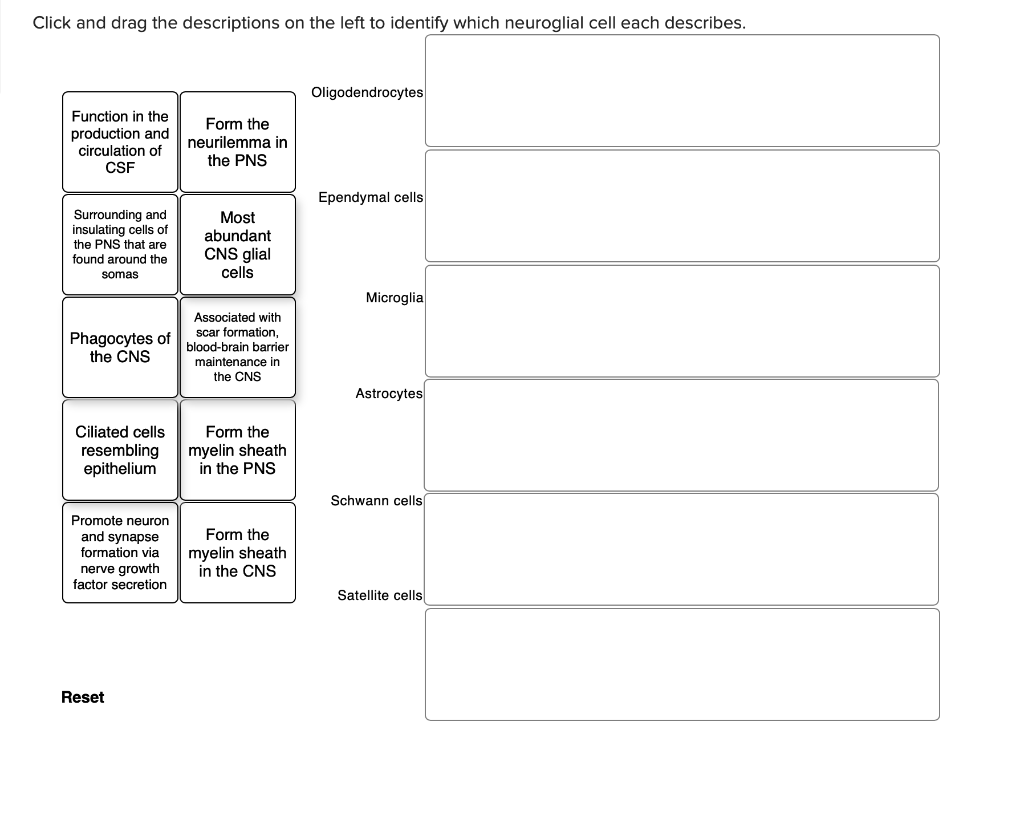 Solved Click and drag the descriptions on the left to | Chegg.com