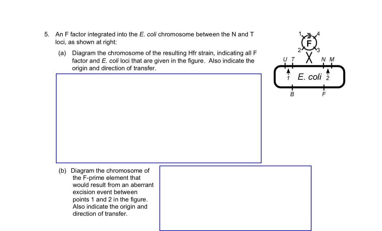 Solved Please – explain. 5. An F factor integrated into | Chegg.com