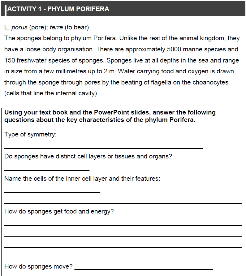 Solved ACTIVITY 1 - PHYLUM PORIFERA L. porus (pore); ferre | Chegg.com