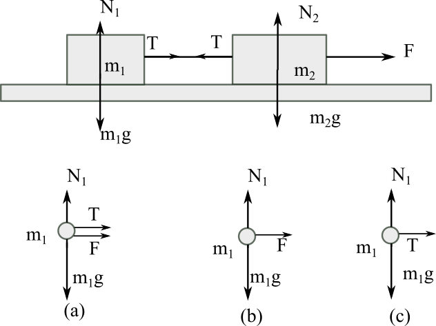 Solved Two masses m1 and m2 are connected by a string of | Chegg.com