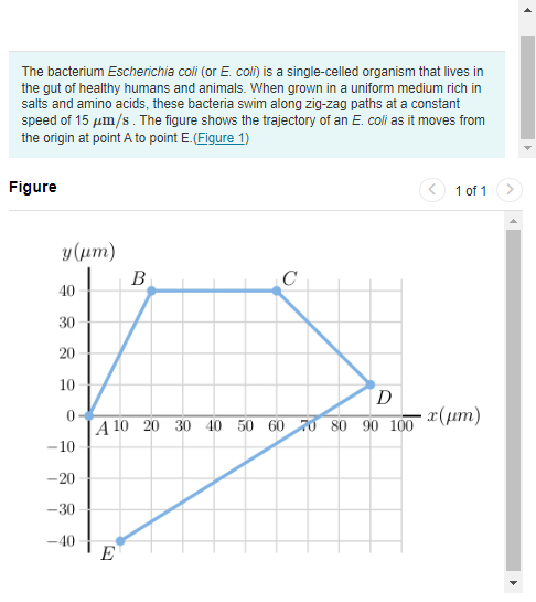 Solved The bacterium Escherichia coli (or E. coli) is a | Chegg.com