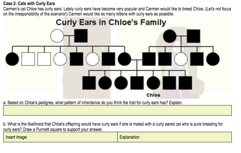Solved Genetic Counseling Pedigree Analysis Pedigree Basics | Chegg.com