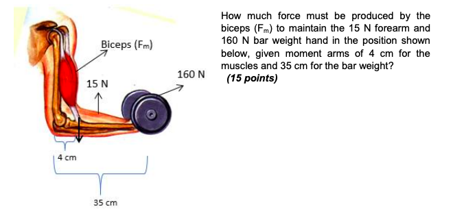 Solved Biceps (FM) How much force must be produced by the | Chegg.com