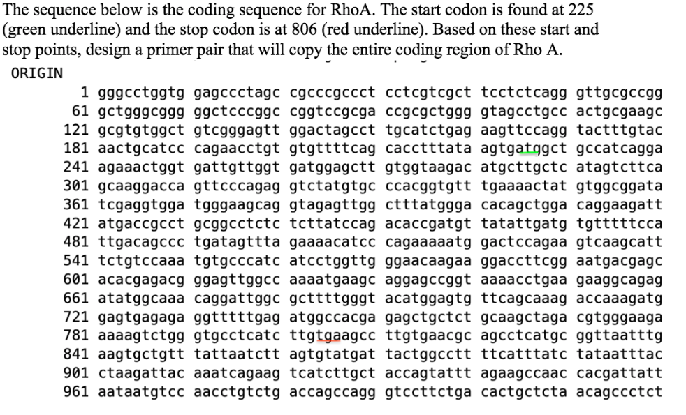 Solved The sequence below is the coding sequence for RhoA. | Chegg.com