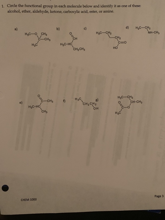 Solved Circle the functional group in each molecule below | Chegg.com