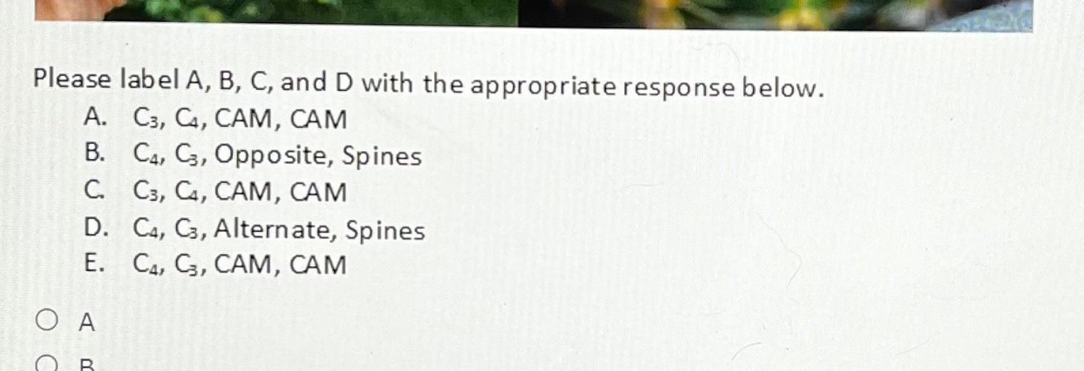 Solved Please label A, B, C, and D with the appropriate | Chegg.com
