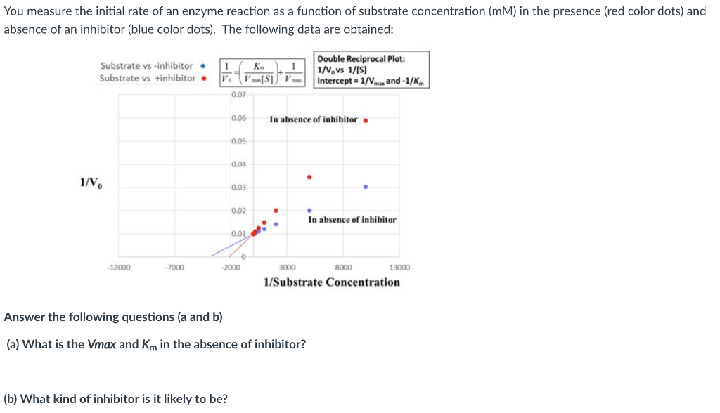 Solved You measure the initial rate of an enzyme reaction as | Chegg.com