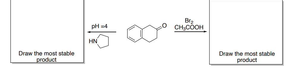 Solved pH =4 Br2 CH3COOH HN Draw the most stable product | Chegg.com