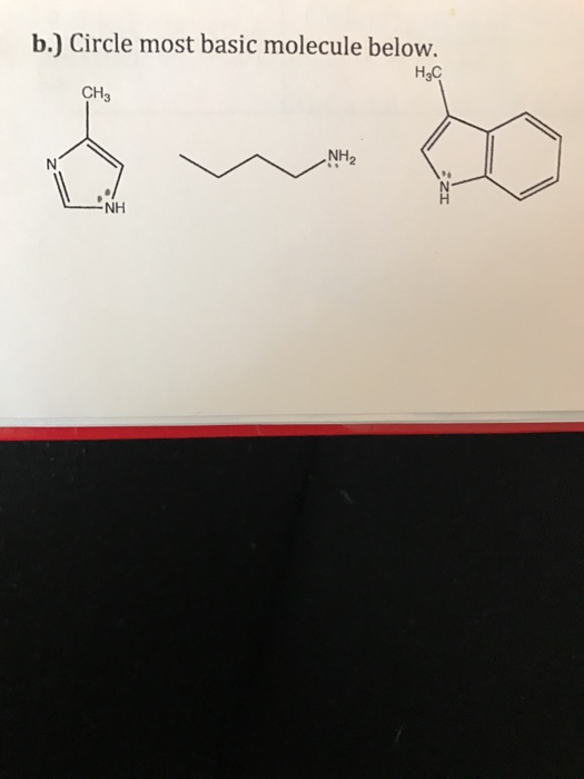 Solved b. Circle most basic molecule below CH NH NH | Chegg.com