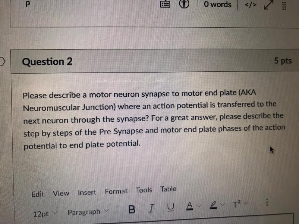 Please describe a motor neuron synapse to motor end | Chegg.com